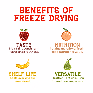 Nature’s Turn Freeze-Dried Fruit Snacks, Superfruit Variety, Pack of 16 (0.53 oz Each)