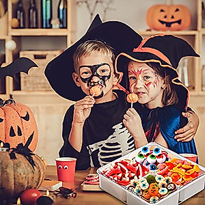 2pack Serving Trays for Party Divided Veggie Tray with Lid Sealed Sectioned Fruit Snack Serving Platter Vegetable Storage with 4 Compartments Snackle Box Charcuterie Container Fridge Organizer