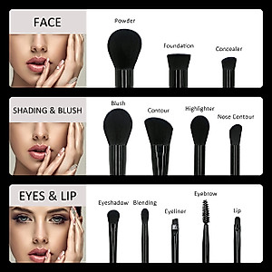 Makeup Brushes 12Pcs Makeup Brushes Set Professional, Premium Synthetic Kabuki Foundation Powder Contour Blush Concealer Eyeshadow Blending Highlighter Eyeliner Eyebrow Makeup Brush (Black)