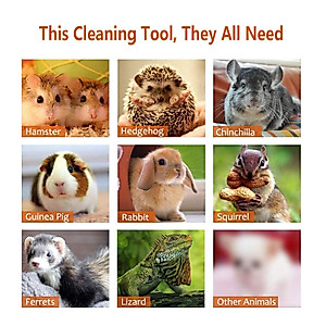 Rypet Cage Cleaner for Guinea Pigs, Hamsters, Chinchillas, Rabbits, Reptiles, Hedgehogs and Other Small Animals - Mini Dustpan and Brush Set Cleaning Tool for Animal Waste (1 Pack)