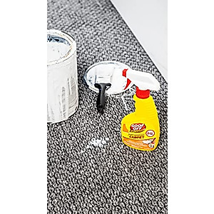 Goof Off FG910 Paint Remover Carpet Cleaner Solution –, 12 oz. Spray