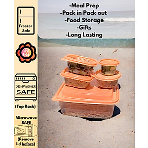 Room 2 Room 42-Piece Food Storage Container Set For Food Storage, Dishwasher Safe, Airtight, BEST VALUE (Orange)