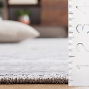 SAFAVIEH Tucson Collection Area Rug - 4' Square, Beige & Grey, Persian Medallion Design, Non-Shedding Machine Washable & Slip Resistant Ideal for High Traffic Areas in Living Room, Bedroom (TSN102B)