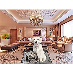 Dog Heating Pad for Large Dog Bed Indoor,Waterproof Heated Dog Bed Mat,Pet Heating Pad,Cat Heating pad,Puppy Heating pad for whelping Box Outdoor Dog House,Easy Clean,34X21 inch