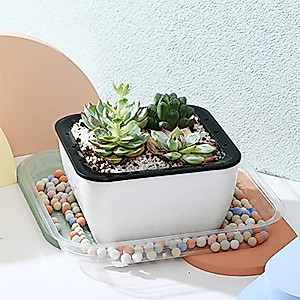 UltraOutlet 20 Pack Square Plant Saucer Plant Trays for Pots 12 Inch Plant Saucers for Outdoors and Indoor Clear Plant Pot Saucers Flower Pot Saucers to Catch Water Drip Tray (20, 12 in)