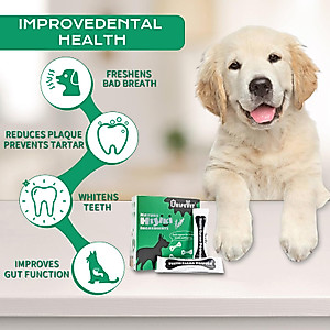Orlpevet Teeth Clean Powder for dogs, Dog Breath Freshener, Tartar,Plaque Remover, Dental care powder for small,medium,large dogs, Organic pet supplies-75g