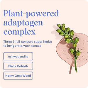 Playground Love Sesh, Water-Based Personal Lubricant with Natural Ingredients, Safe to Use with Latex Condoms, Lube for Men, Women, and Couples, Unscented, 3.7 Fl. Oz.