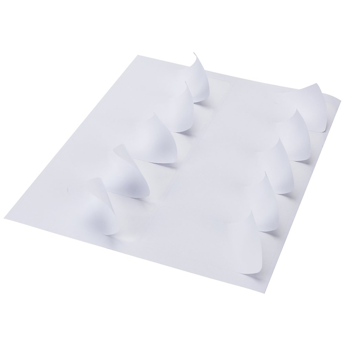 10 Up - Shipping Address Labels - 2" x 4" - 1000 Labels