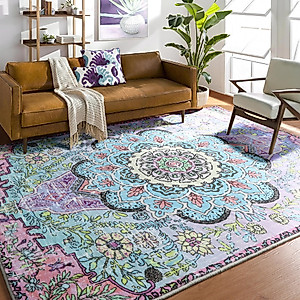 SOFHOM Boho Oriental Vintage Rug 5x7, Machine Washable Area Rugs for Living Room Bedroom, Non Slip Colorful Floral Rugs Indoor Door Mat for Kitchen Entryway Office Nursery Dining Room, Colorful