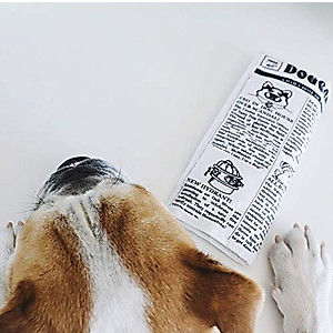 Pet Qwerks Plush Interactive Dog Toys - Newspaper Squeaker Toy - 10 in,Large breeds