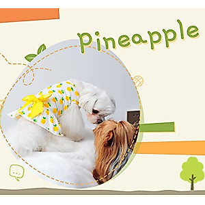 MSNFOASM 3-Pack Cherry Lemon Pineapple Print Dog Dress,Doggie Tank Top Vest Dresses,Holiday Cat Outfits,Soft Clothes for Small Dogs Girl(Small)