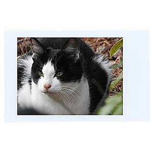 Fujifilm Instax Mini Instant Film (10 Twin Packs, 200 Total Pictures) for Instax Cameras