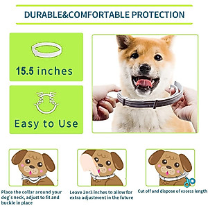Advanllent Flea Collar for Dogs, Flea and Tick Collars for Small Dogs, 15.5inch, 8 Month Protection (1 Pack), Gray