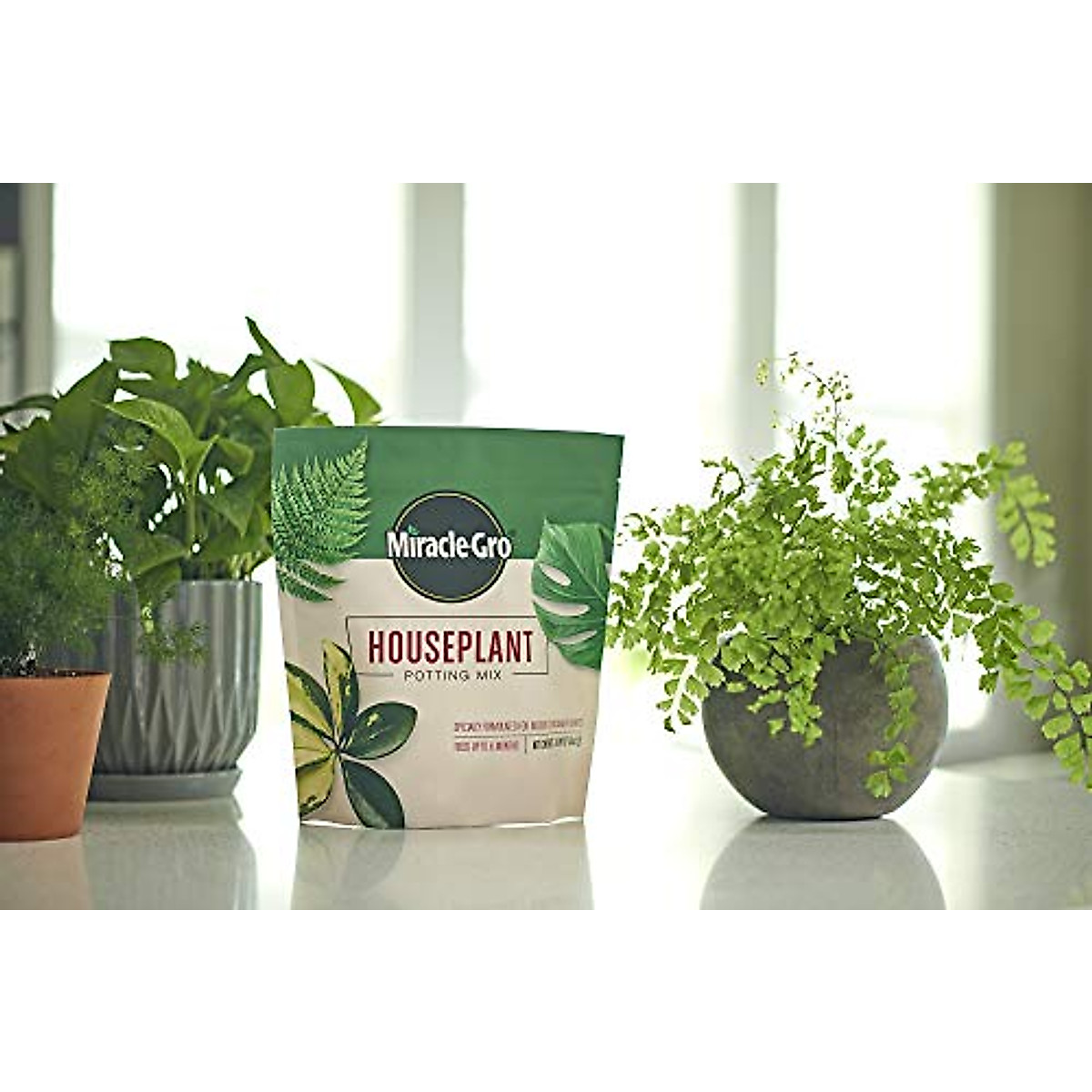 Miracle-Gro Houseplant Potting Mix: Fertilized, Perlite Soil for Indoor Gardening, Designed to Be Less Prone to Gnats, 4 qt.