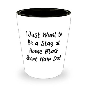Brilliant Black Short Hair Cat, I Just Want to Be a Stay at Home Black Short Hair Dad, Birthday Shot Glass For Black Short Hair Cat