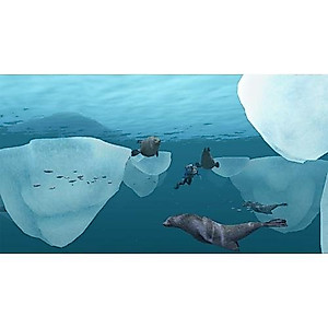 Endless Ocean: Blue World - Nintendo Wii (Renewed)