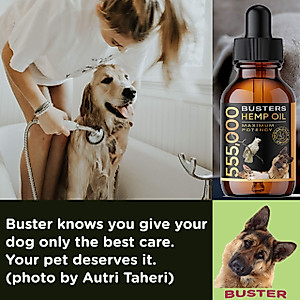 K2xLabs Buster's Organic Hemp Oil for Dogs and Pets, 4PACK-8MTH-supply, 555,000 Max Potency, Large 60ml Bottle, Made in USA - Miracle Formula, Perfectly Balanced Omega 3, 6, 9 - Joint Relief, Calming