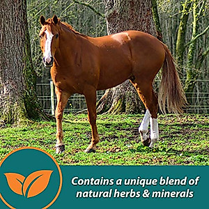 Farnam Cough Free Horse Cough Supplement Pellets, Provides Respiratory Support for Horses with Seasonal Allergies or Stable Cough, 2.5 pounds, 70 Day Supply