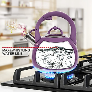 Tea Kettle for Stovetop, Food Grade Stainless Steel Water Kettle, Tea Pot for Home & Kitchen, 3.1 Quart