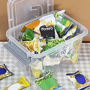 Jandson Small 3.5 Quart Clear Storage Bin, Latching Box Container with Grey Handle, 6 Packs