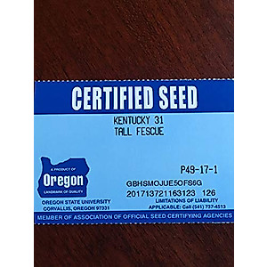Kentucky 31 K31 Tall Fescue Grass Seed by Eretz - CHOOSE SIZE! State Certified, No fillers, No Weed or Other Crop Seeds (5lbs)
