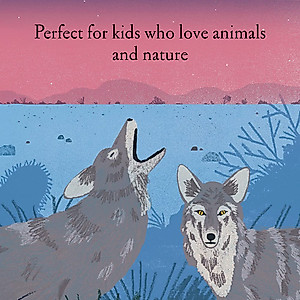 Over and Under the Canyon