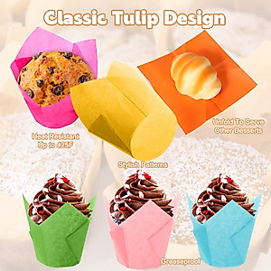 Queekay 180 Pcs Tulip Cupcake Liners, Baking Cup Holder Muffin Cupcake Liners Paper Wrappers Cupcake for Wedding Fall Thanksgiving Birthday Baby Shower Party Standard Size, 6 Colors