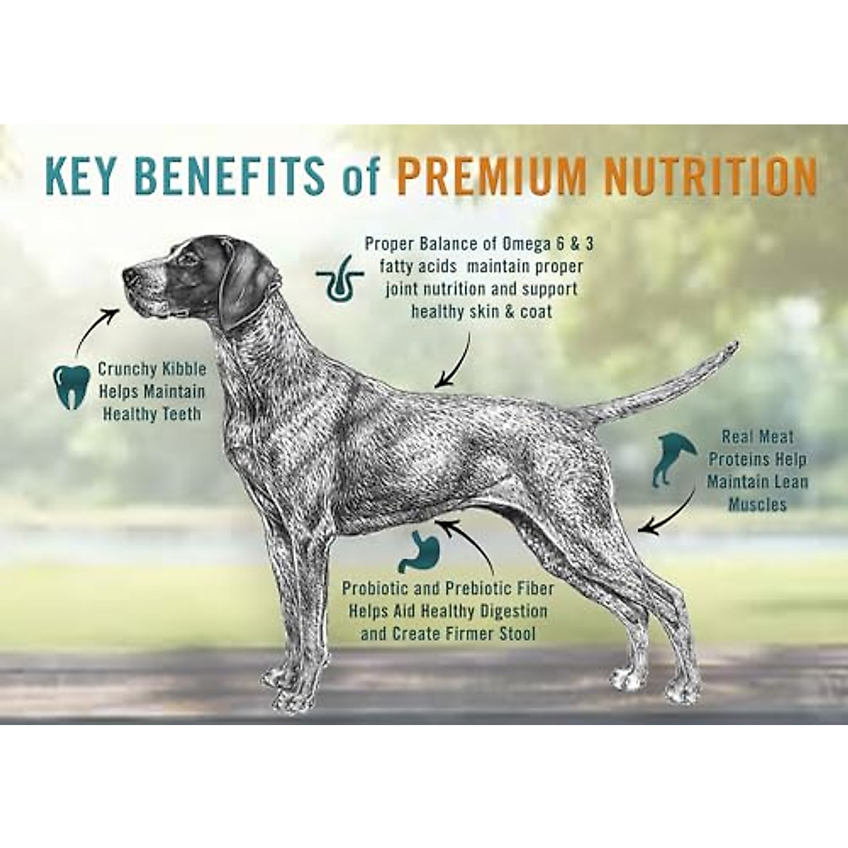 Chicken Soup For The Soul Classic Dry Small Bites Adult Dog Food, Beef & Brown Rice Recipe, 4.5 Pound Bag | Soy Free, Corn Free, Wheat Free, Small Breed Dog Food Made with Real Ingredients