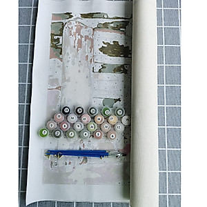 Tangbr Paint by Numbers for Adults, DIY OIL Painting by Numbers Flowers Kits on Canvas Without Frame 16x20 Inch (40x50cm)