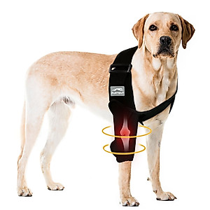 Furtent Dog Front Leg Brace for Elbow Dysplasia, Shoulder Dislocation, Hygroma, Pet Prevent Licking Wound Elbow Protector, Avoid Cone of Shame, Abrasion Resistant Dog Recovery Sleeve, M