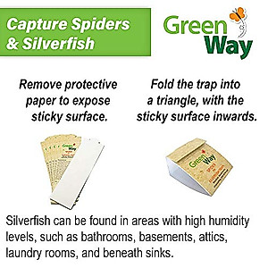 GreenWay Spider & Silverfish Trap - 6 prebaited Traps | Ready to Use Heavy Duty Glue, Safe, Non-Toxic with No Insecticides or Odor, Eco Friendly, Kid and Pet Safe