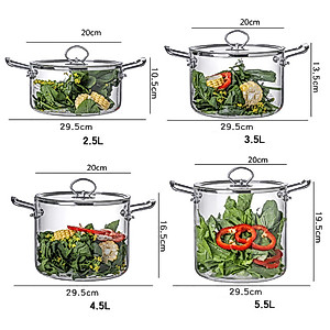 GFHVDC Glass Clear Saucepan with Lid,Glass pot Glass Cookware Set Saucepan with Lid, Glass Pot Stovetop Heat Resistant Stainless Steel Double Handles Clear Glassware for Cooking Milk, Pasta & Baby F