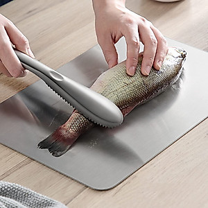 ADORAMBLING 2 Pieces Fish Scaler Tool Stainless Steel Fish Scaler Remover No Mess - Portable Fish Scale Remover Fish Descaler Tool - Durable Fish Scraper Fish Cleaner Tool for Fish Scaling Cleaning