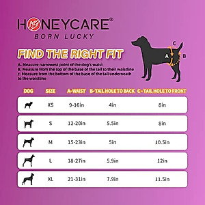 HONEY CARE All-Absorb Disposable Female Dog Diapers Small Size, Improved, 40 Count, Super Absorbent, Breathable, Wetness Indicator