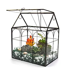 Large Tall Plant Greenhouse Terrarium Glass with Lid, 8.7"X5.9"X10.6" Inches Indoor Tabletop Orchid Succulent Cacti Terrarium Kit NA (House Black A)