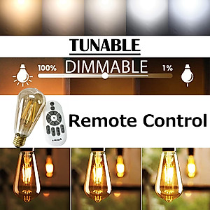 SKIVTGLAMP Industrial Wall Sconce Plug-in Cord with Remote Control, No Drilling Wall Mounted Dimmable LED Edison Bulbs Farmhouse Wall Hanging Upward for Home Decor Gallery Customizable 2 Lights