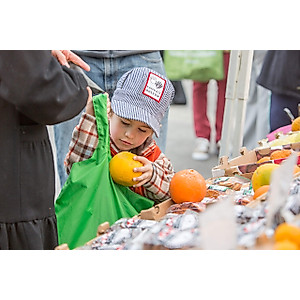 ChicoBag Original Compact Reusable Grocery Bag w/Attached Pouch and Carabiner Clip | Perfect for Shopping, Travel, Organization | Eco-Conscious Packable Tote | Purple (Pack of 4)