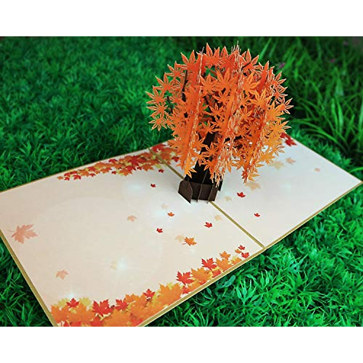 TIMMOR MAGIC 3D Pop Up cards, Golden Maple Tree Cards, Birthday Cards, Mom Cards, Thank you Cards, Greeting Cards (Golden Maple)