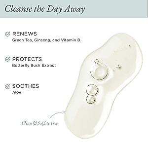 PÜR MINERALS Forever Clean Gentle Facial Cleanser, Sulfate-Free Makeup Remover, Vegan-Friendly Formula, Green Tea, Aloe Vera