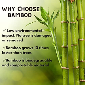 Go Green. Coffee and Tea Thermo Stainless steel double wall with tea infuser. Eco design. Coffee and tea. 18 oz. Leak proof lid. Best gift for coffee lovers. (Large)