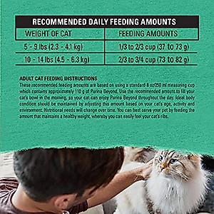 Purina Beyond Natural Grain Free Dry Cat Food Whitefish and Egg Recipe With Added Vitamins, Minerals and Nutrients - 3 lb. Bag