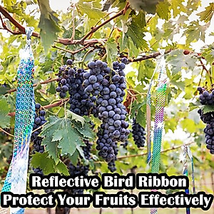 Benasan [492FT] Effective Birds Scare Ribbon, Reflective Flash Reflectors to Keep Pigeons, Hawks, Woodpeckers, Geeses Away from Trees Plants Crops