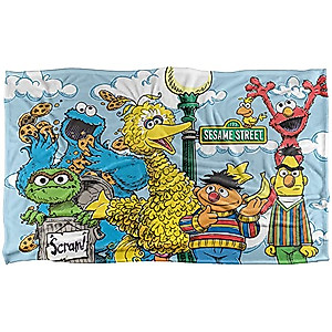 Sesame Street Retro Gang Officially Licensed Silky Touch Super Soft Throw Blanket 36" x 58"