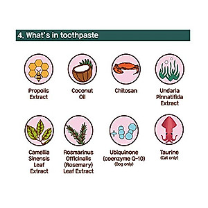 HIBOS Cat Toothbrush Toothpaste Dental Care - All in One Kit, Cat Toothpaste in Toothbrush, Cat Tooth Whitening & Cleaning, Cat Oil for Healthy Gums. (1 Count)