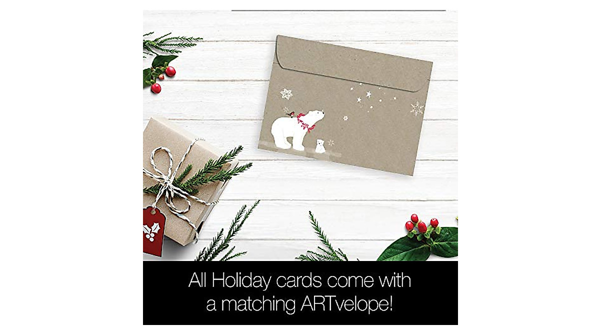 Tree-Free Polar Bear Holiday Cards - Eco-Friendly Set