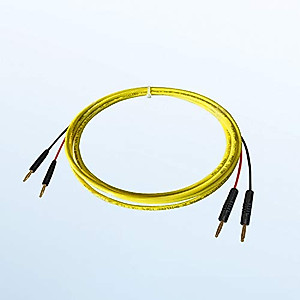 Lignomat Package M-11: Mini-Ligno MD/C Moisture Meter, 6' Cable, 1 Pair PKB Probes