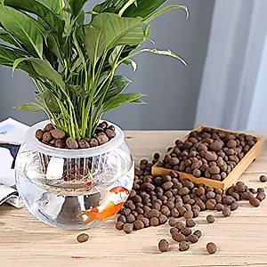 Expanded Clay Pebbles 1 qt, 8mm-14mm Clay Balls for Plants, Organic Plant Grow Media, Porous Stones for Hydroponics, Drainage, Decoration, Aquaponics, and Other Gardening Essentials