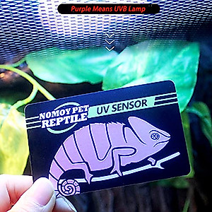 4 Pcs Quick Test UVB Sensor, Reptile UV Tester Heating Lamp Photochromic UVB Card Indicator, Reused 500 Times