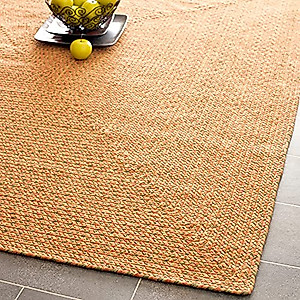 SAFAVIEH Braided Collection 4' x 6' Multi BRD166A Handmade Country Cottage Reversible Cotton Area Rug