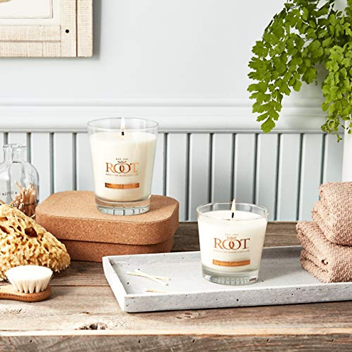 Root Candles Scented Candles Honeycomb Veriglass Premium Handcrafted Beeswax Blend Candle, Large, Japanese Cedarwood